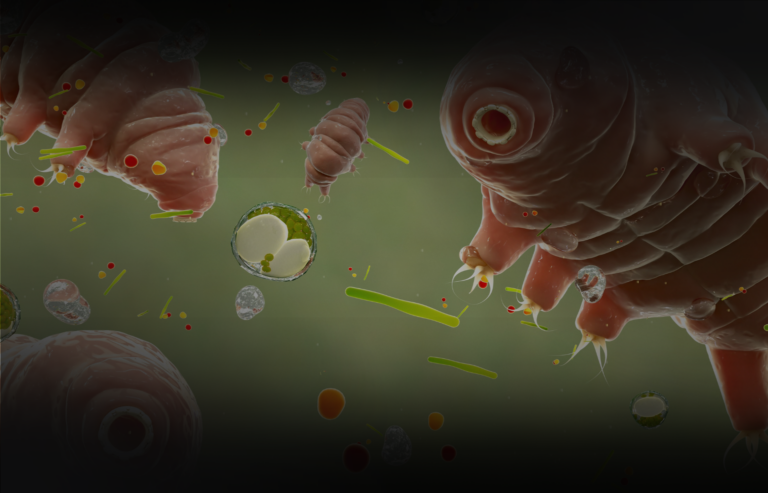 Tardigrade Taxonomy: Classification Insights